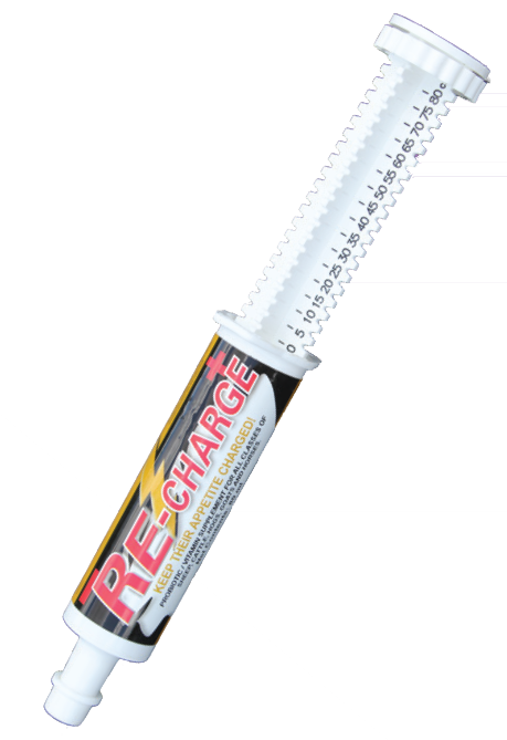 Formula of Champions SFI Re-Charge Paste - Brookville, OH - West ...